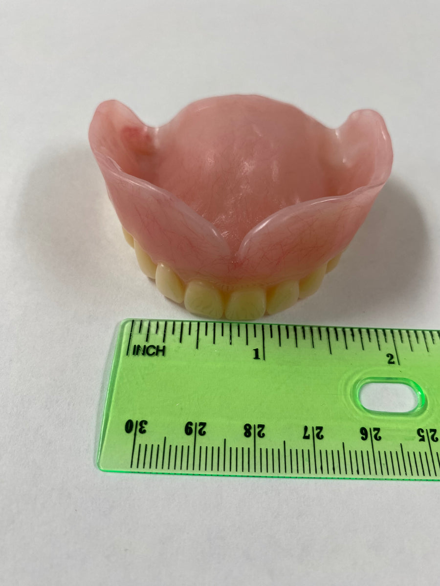 Full Upper Pink Denture False Teeth Medium – Saldentures