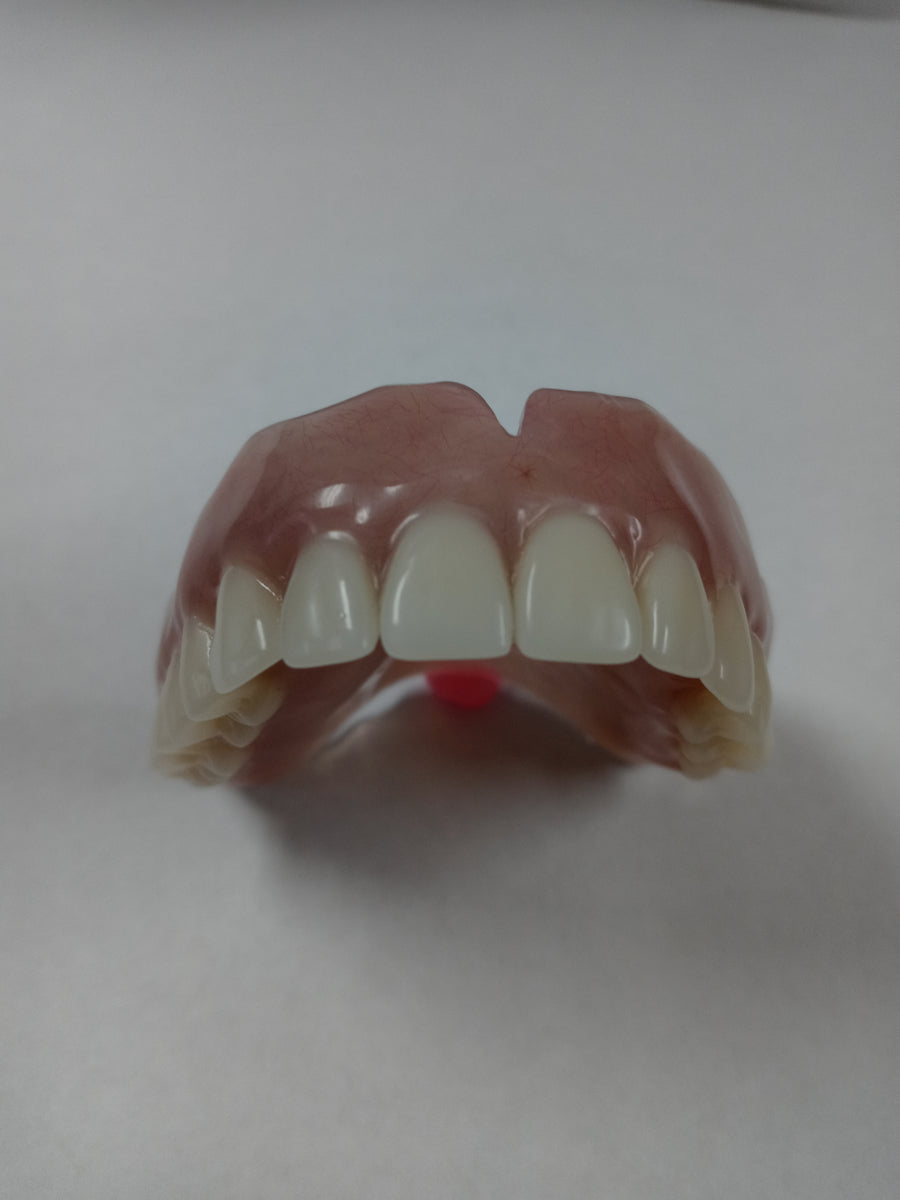 Denture Medium Upper Dark Size 2.5 Inches Shade B1 – Saldentures
